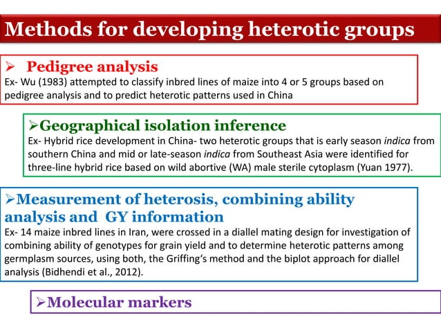 Heterotic pools | PPTX