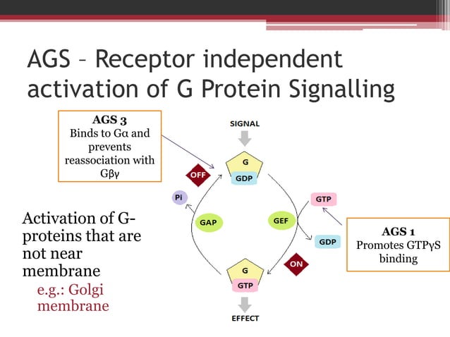 Heterotrimeric G-proteins | PPTX