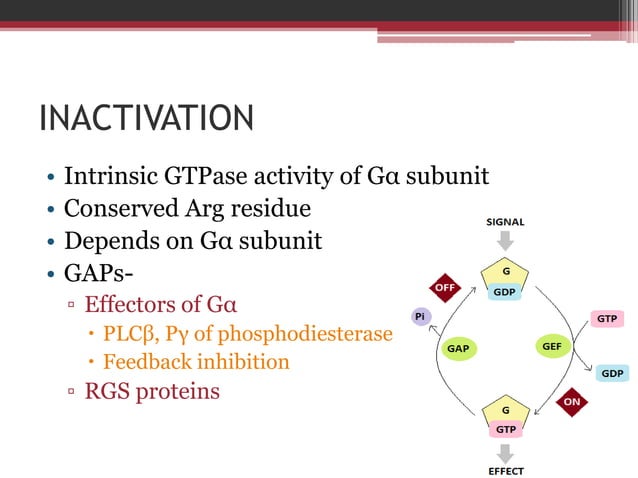 Heterotrimeric G-proteins | PPTX