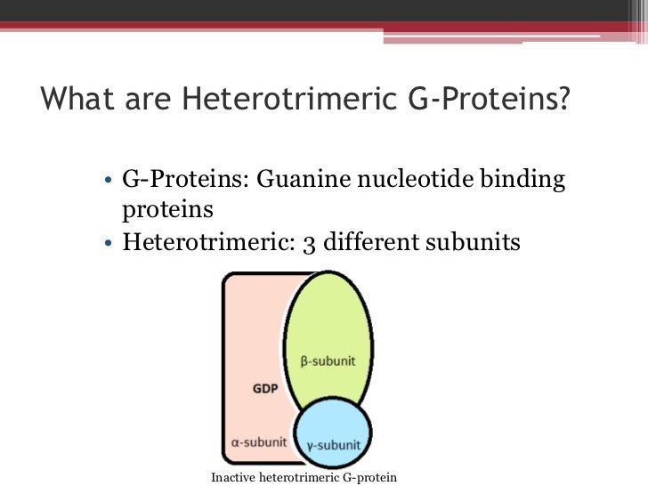 Heterotrimeric G-proteins