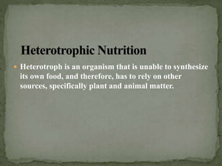 Heterotrophic mode of nutrition | PPTX