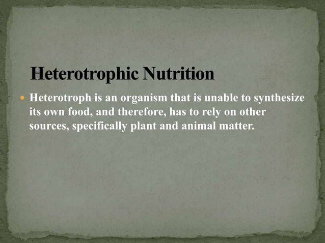 Heterotrophic mode of nutrition | PPTX