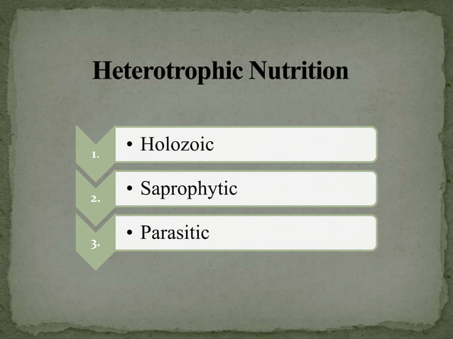 Heterotrophic mode of nutrition | PPTX