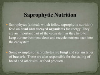 Heterotrophic mode of nutrition | PPTX