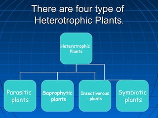 Heterotrophic nutrition | PPT
