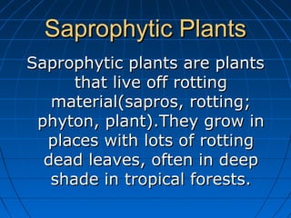 Heterotrophic nutrition | PPT