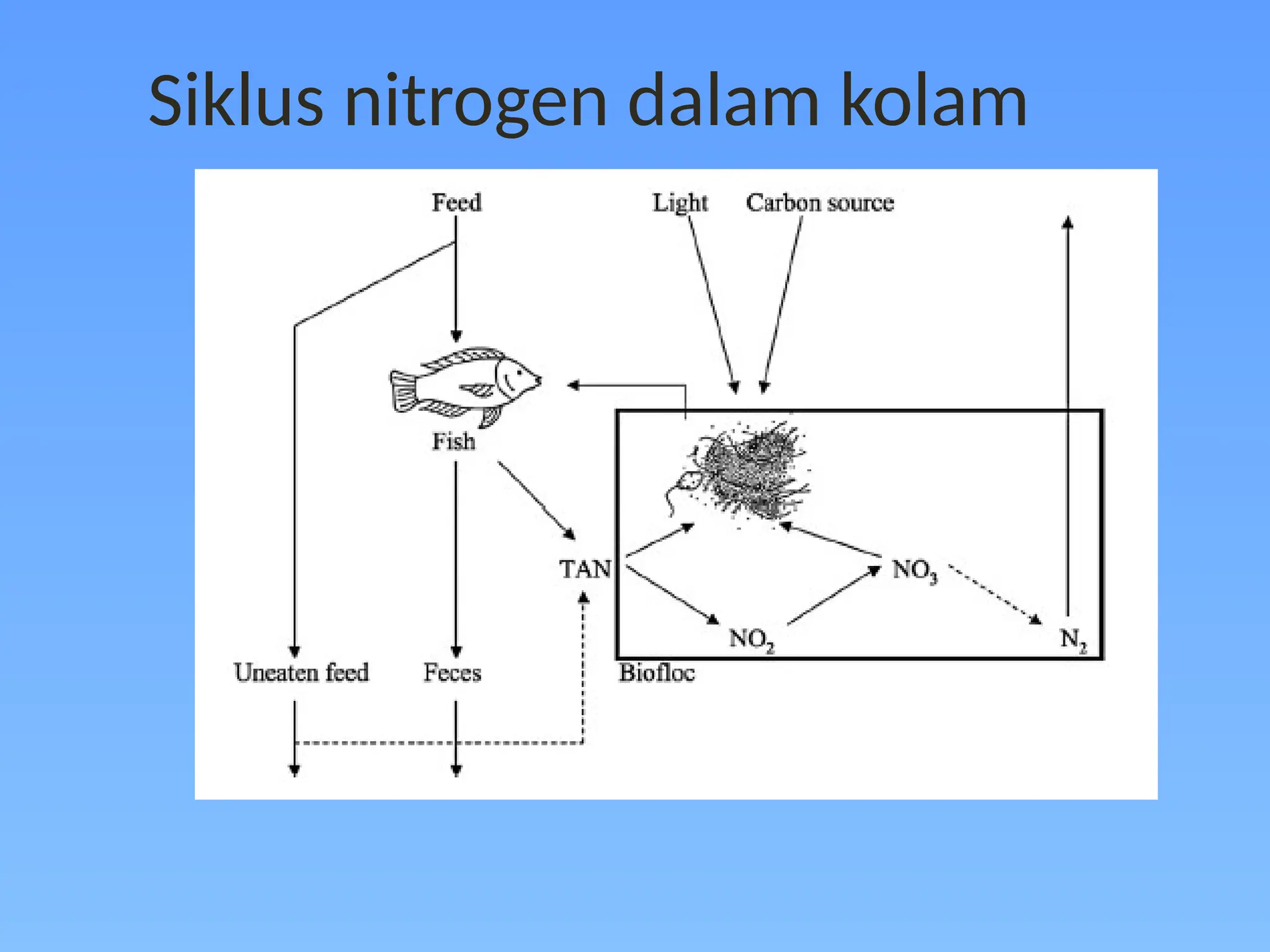 Materi Heterotrophic System (Dr. Supono, S.Pi.,M.Si.).pptx