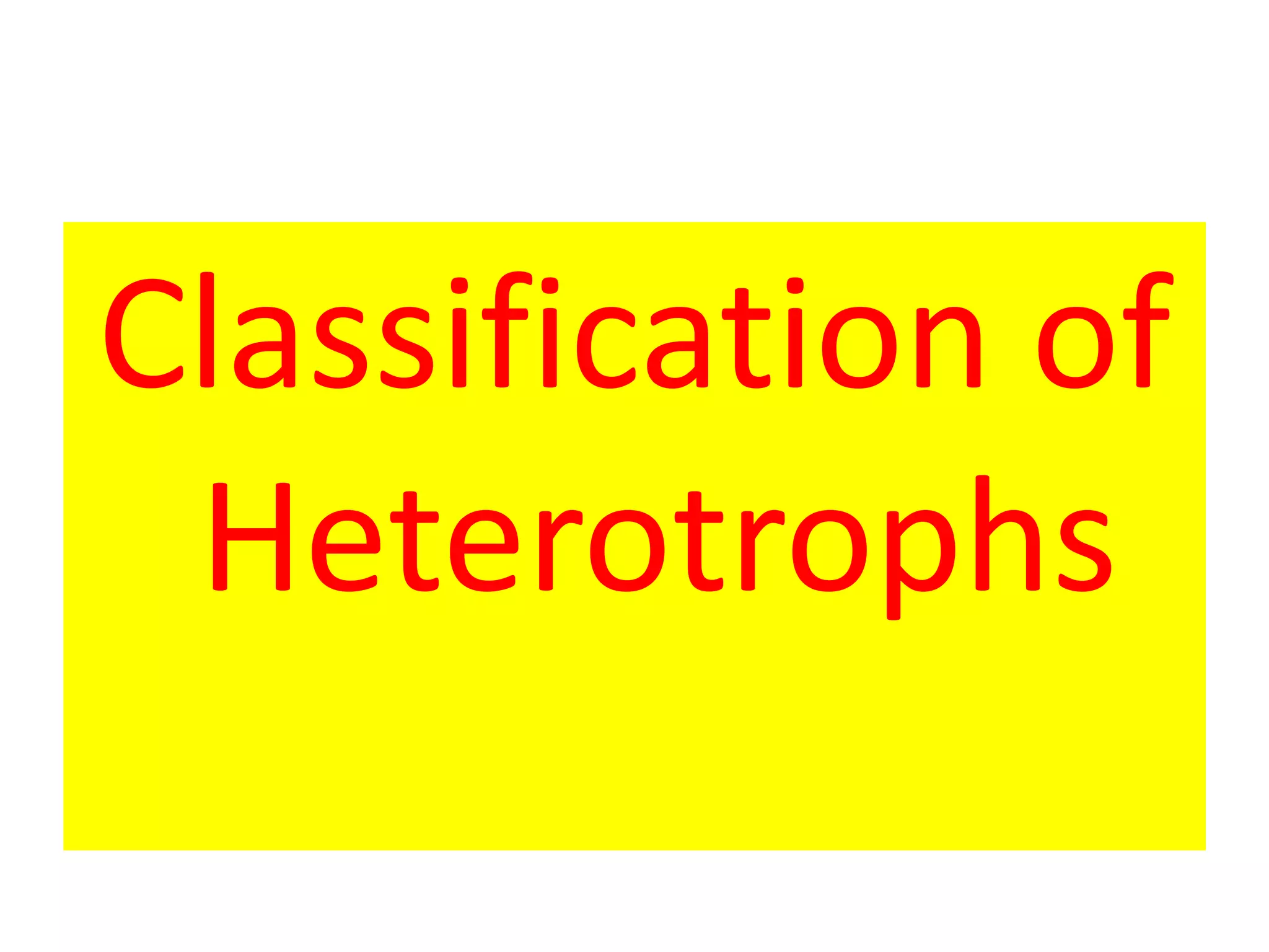 Heterotrophs | PPTX