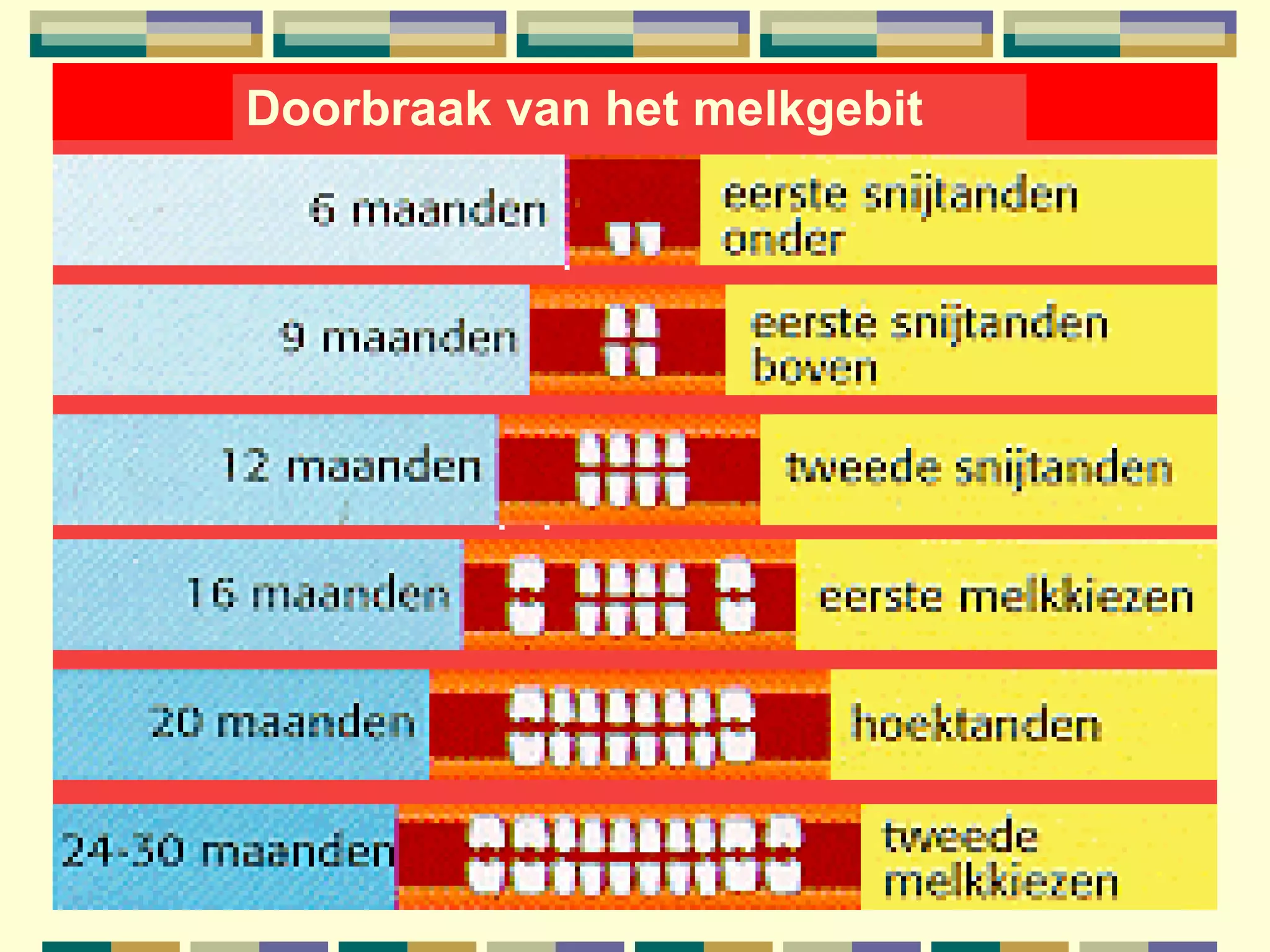 Het Gebit | PPT | Oral care | Personal Care