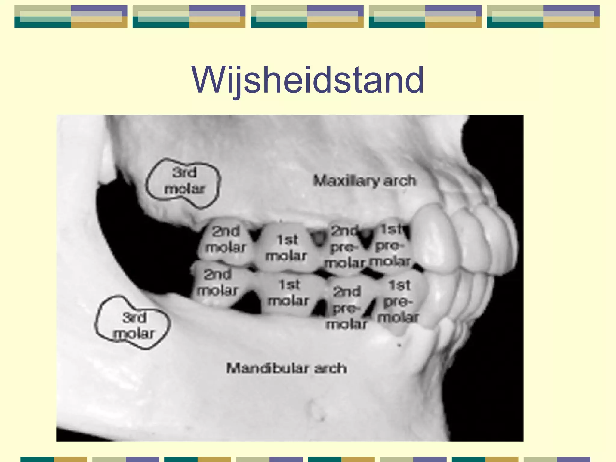 Het Gebit | PPT | Oral care | Personal Care