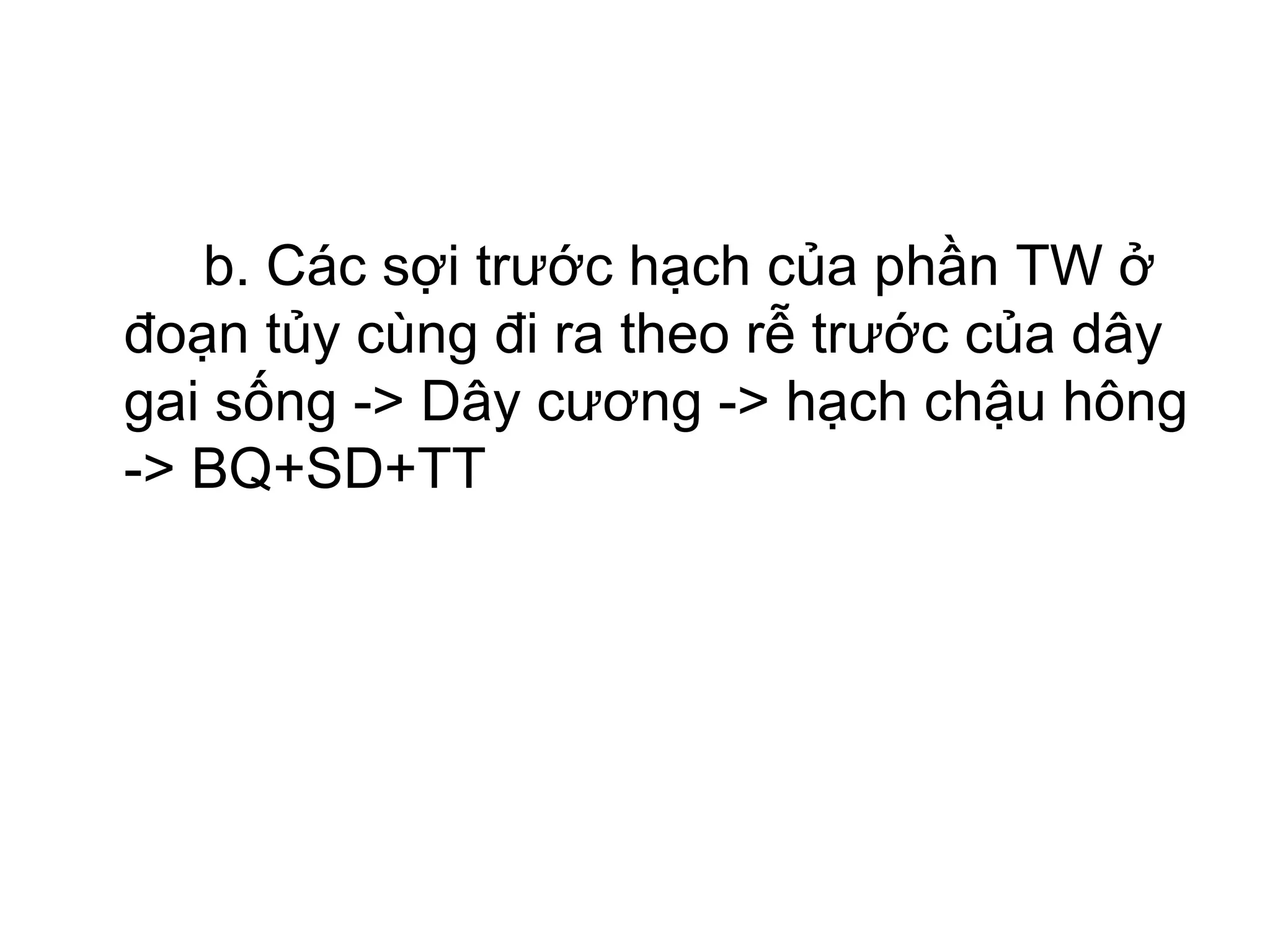 HỆ THẦN KINH TỰ CHỦ | PPT