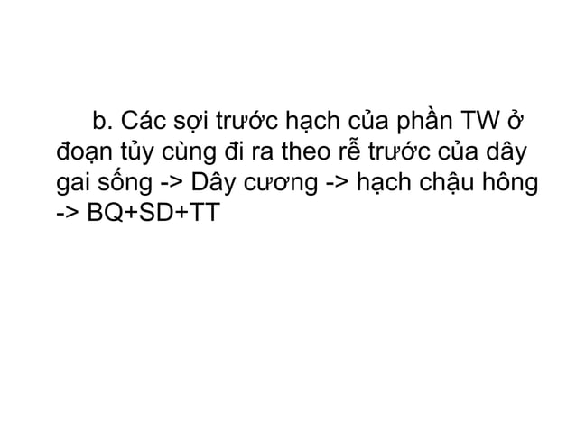 HỆ THẦN KINH TỰ CHỦ | PPT