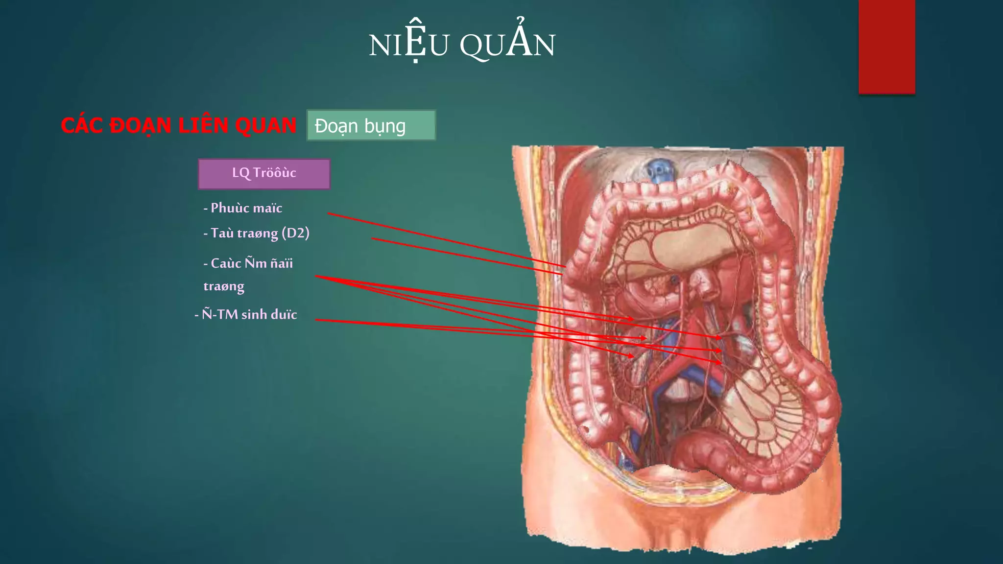 GP hệ tiết niệu | PPTX