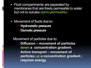 Normal fluid and electrolytes: with commonly used fluids | PPTX