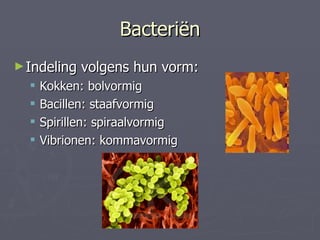 Het rijk van de prokaryoten of monera | PPT