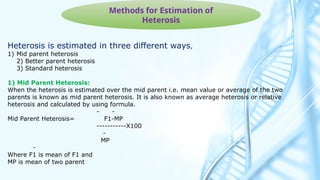 hetrosis breeding - Breeding Of Vegetable, Tuber And Spices | PPTX