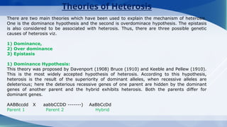 hetrosis breeding - Breeding Of Vegetable, Tuber And Spices | PPTX