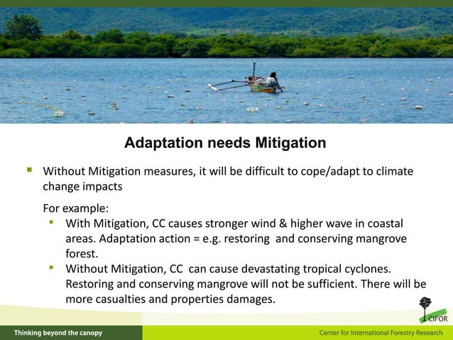 Climate change and forests: Synergy between mitigation and adaptation | PPT
