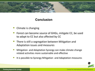 Climate change and forests: Synergy between mitigation and adaptation ...
