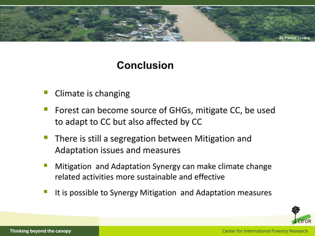 Climate change and forests: Synergy between mitigation and adaptation | PPT