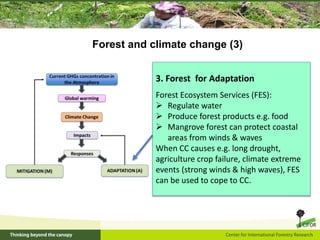 Climate change and forests: Synergy between mitigation and adaptation | PPT