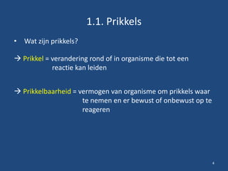 Het zenuwstelsel | PPTX