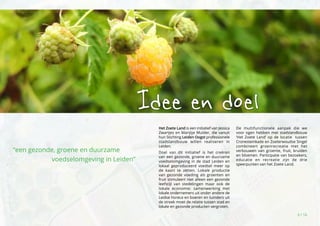 Het Zoete Land Conceptplan | PPT