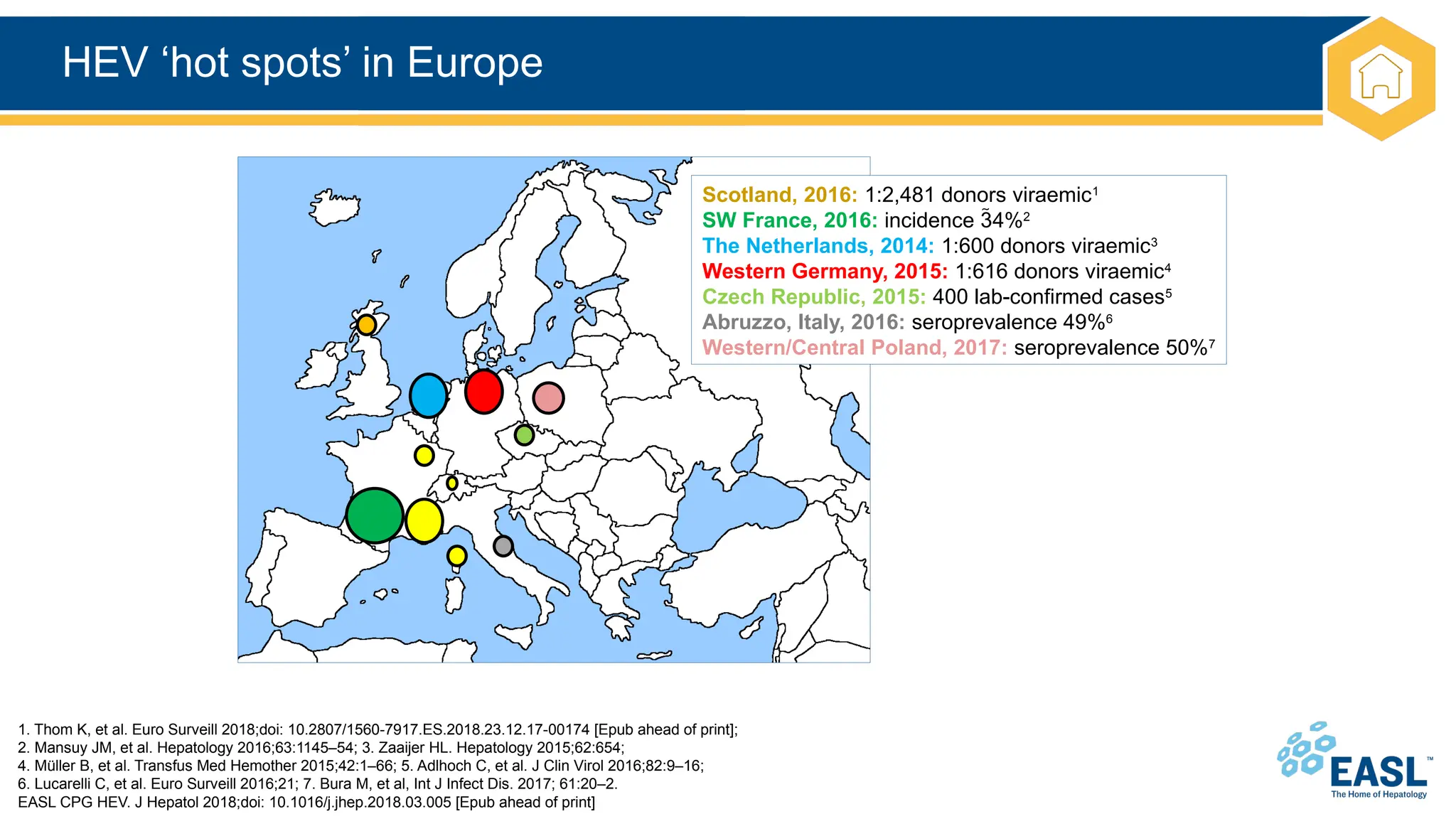 HEV-CPG-Slide-easl-recommendations1.pptx