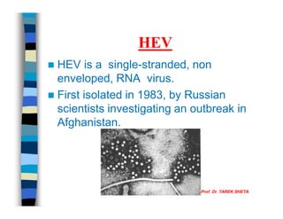 HEV: Beyond the liver | PDF