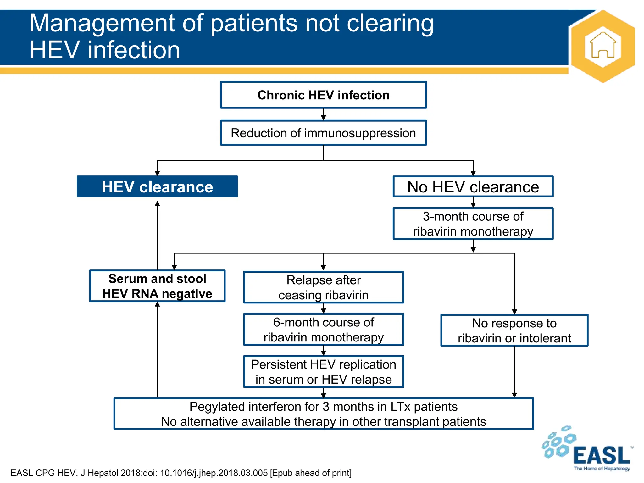 HEV EASL guidelines 2018 recent management guidelines.pptx