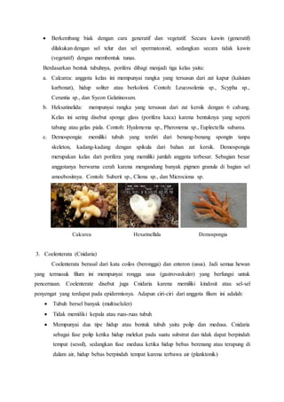 Hewan dan lingkungan | PDF