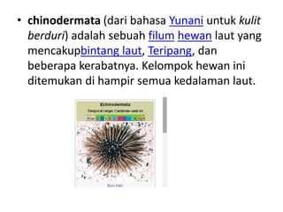 HEWAN INVERTEBRATA DAN VERTEBRATA ku.pptx