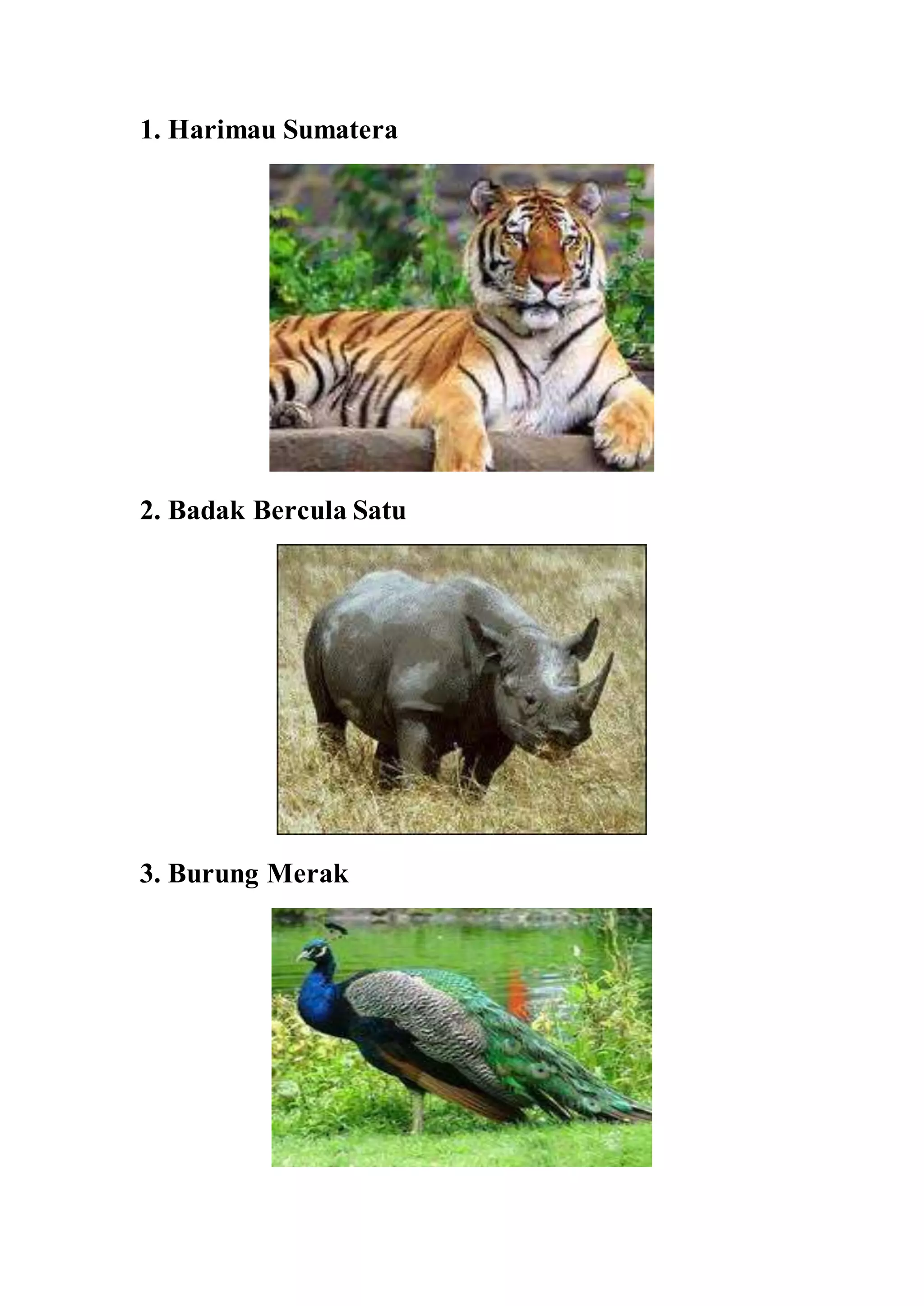 Hewan langka | DOCX