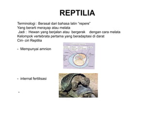 Hewan melata [compatibility mode] | PPT