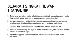 HEWAN TRANSGENIK ADAM pada hewan hasil dari peternakan sapi | PPTX
