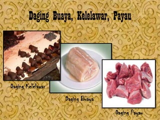 Hewan yang halal dam haram menurut islam | PPTX