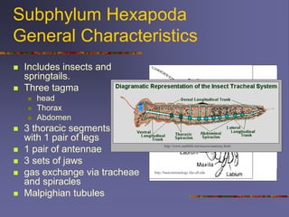 Hexagon socket Conn up radio the tuition fee after a part 〽️ I have a ...