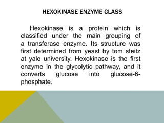 Hexokinase.pptx