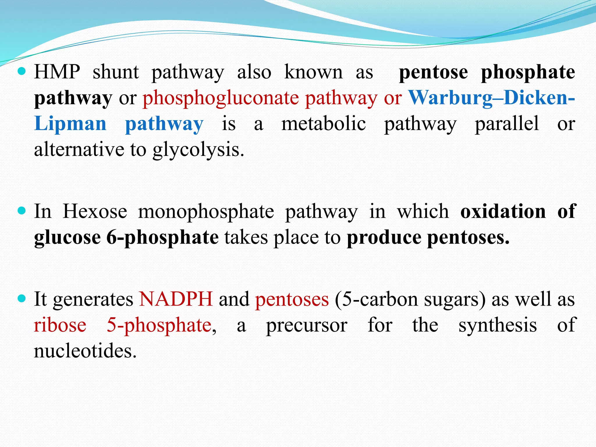 Hexose monophosphate pathway (HMP) | PPTX