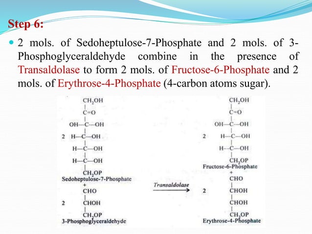 Hexose monophosphate pathway (HMP) | PPTX | Endocrine and Metabolic ...