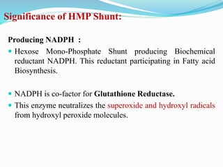 Hexose monophosphate pathway (HMP) | PPTX