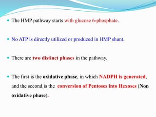 Hexose monophosphate pathway (HMP) | PPTX