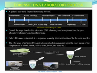 FORENSIC DNA PROFILING: Strengths and Limitations | PPTX | Genetics ...