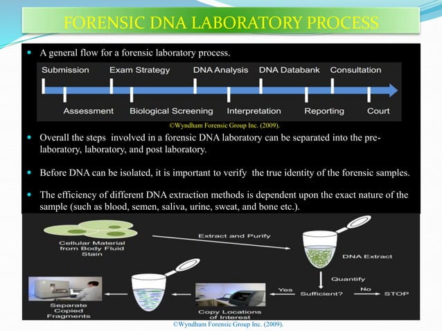 FORENSIC DNA PROFILING: Strengths and Limitations | PPT