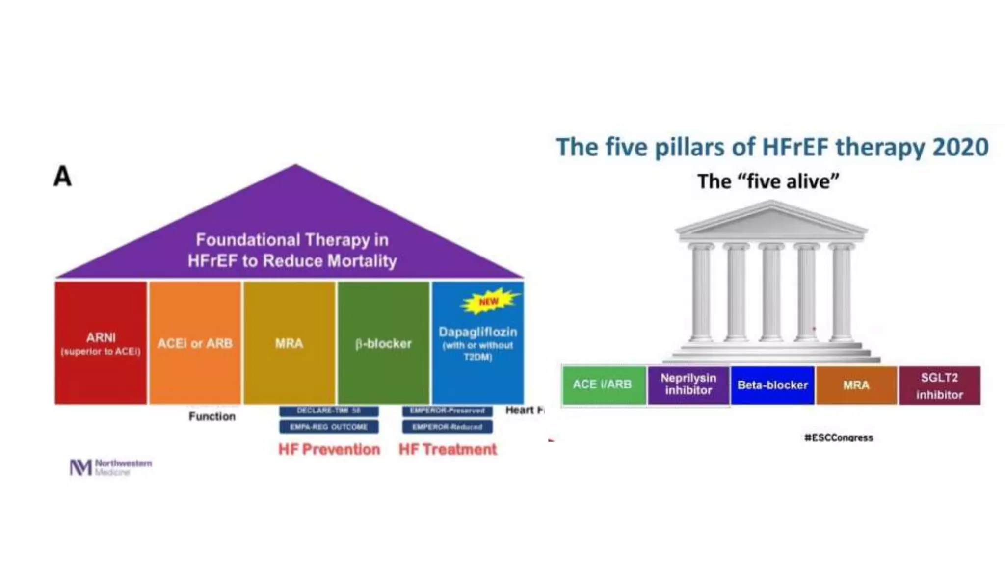 Updated and Overview of HF Trials in ESC 2020 | PPTX