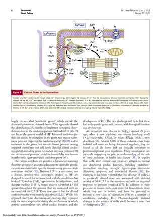 Hf eugene braunwald 2013 | PDF