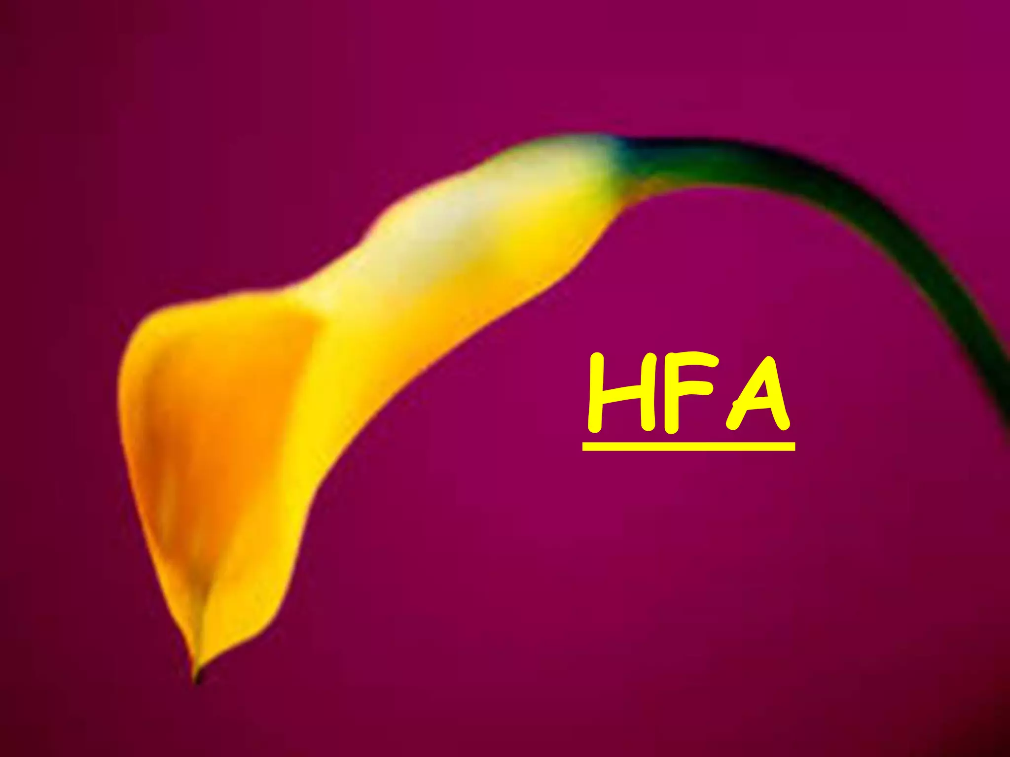 Hfa | PPTX