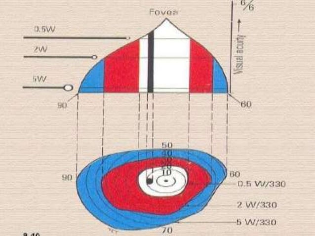 Hfa | PPTX | Eye and Vision Conditions | Diseases and Conditions
