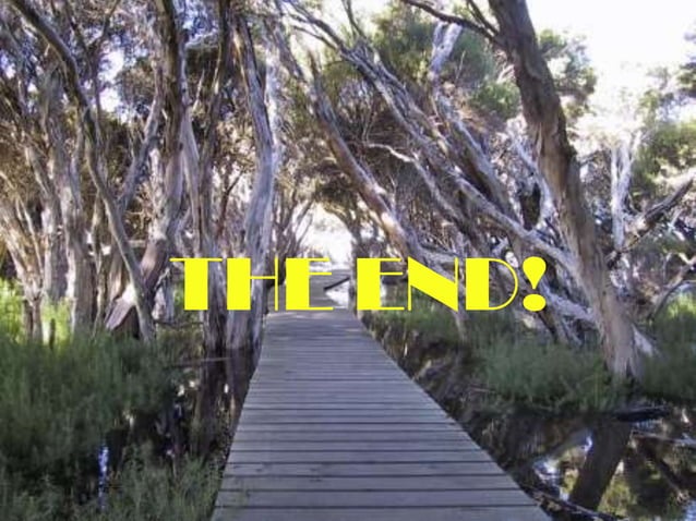 Famous Role Models! | PPT