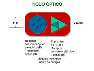 ELEMENTOS ENCONTRADOS EN EL MAPA NODO ÓPTICO: